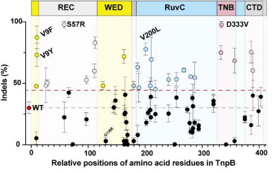Tong Yaojun's Team Used Protein Venus Model to Boost the Efficiency of ...